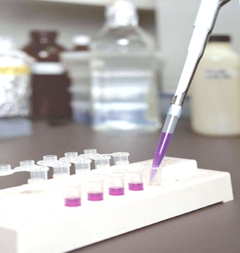 Benzonase Nucleases - pulike
