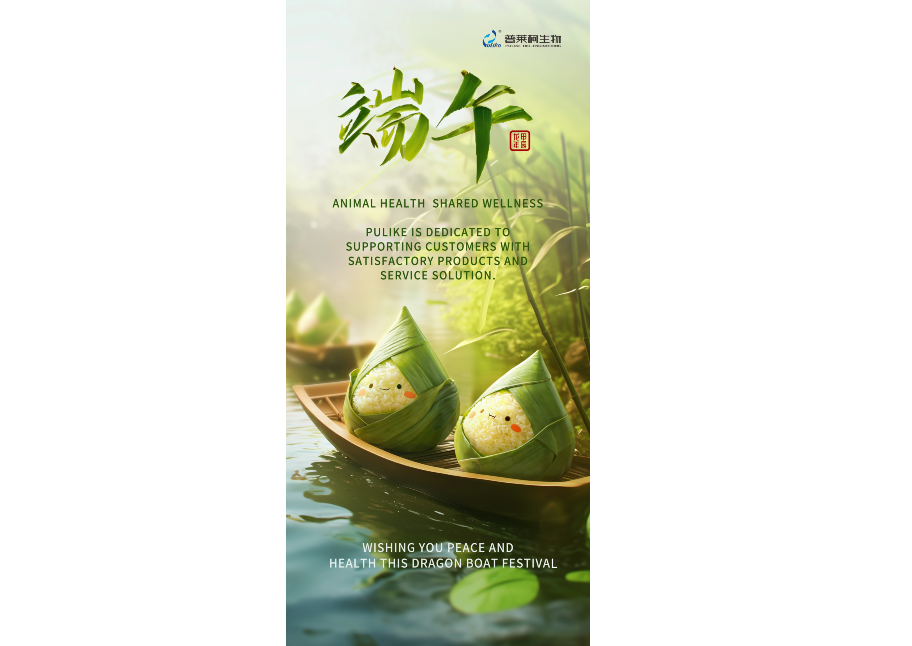 Pulike Wishing you Peace and Health this Dragon Boat Festival - pulike